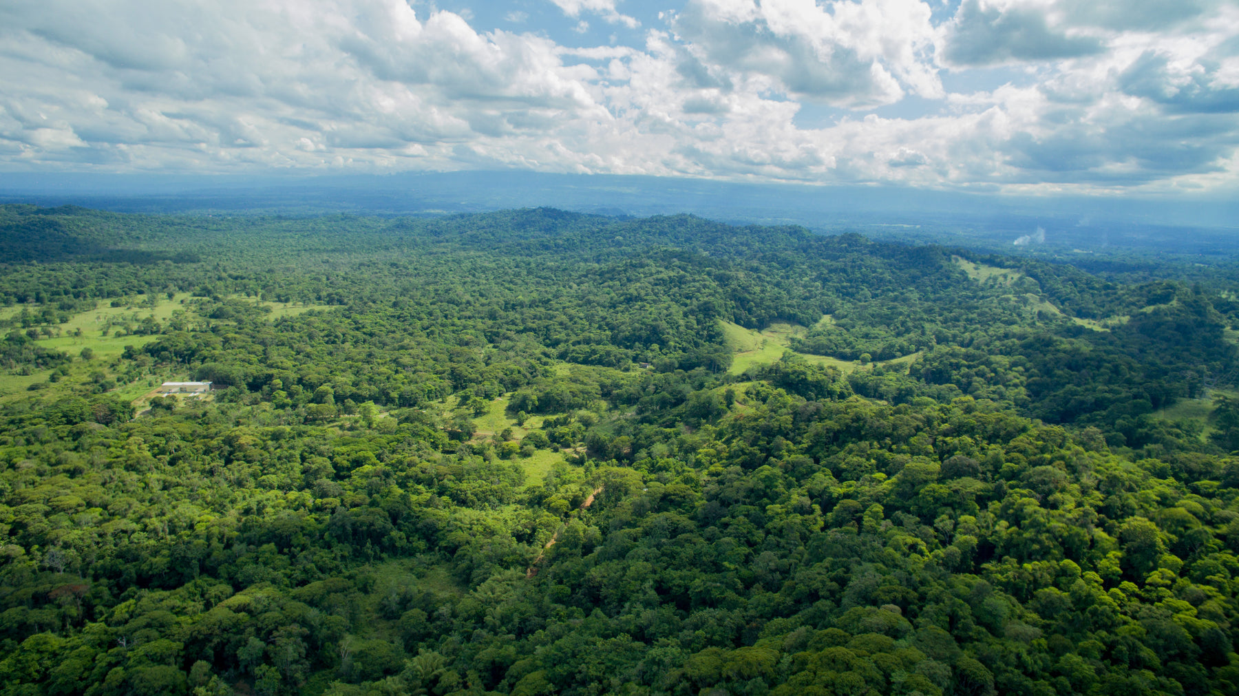 RainForest Artesian Water Aluminum BottleCan 16oz – RAINFOREST WATER